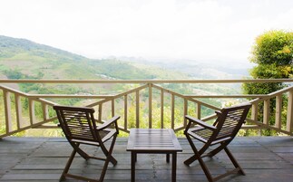 Kinabalu Wing  | Sacada