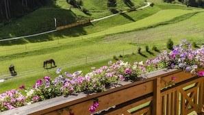 Vista panorâmica de uma paisagem verde com cerca de madeira e flores em primeiro plano.