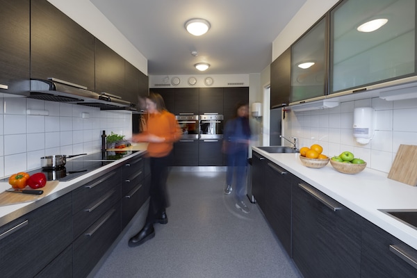 Um frigorífico/congelador grande, um micro-ondas, um forno