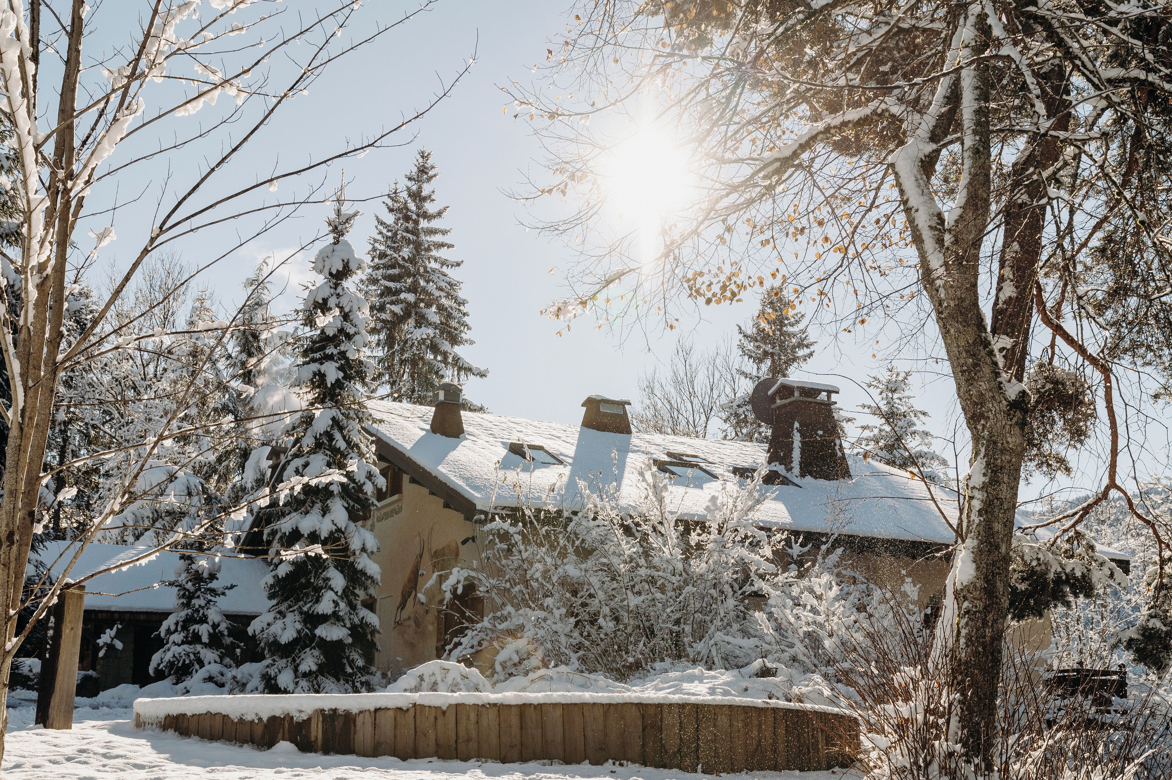 Uma casa com telhado coberto de neve e árvores ao redor, com o sol brilhando entre os galhos.