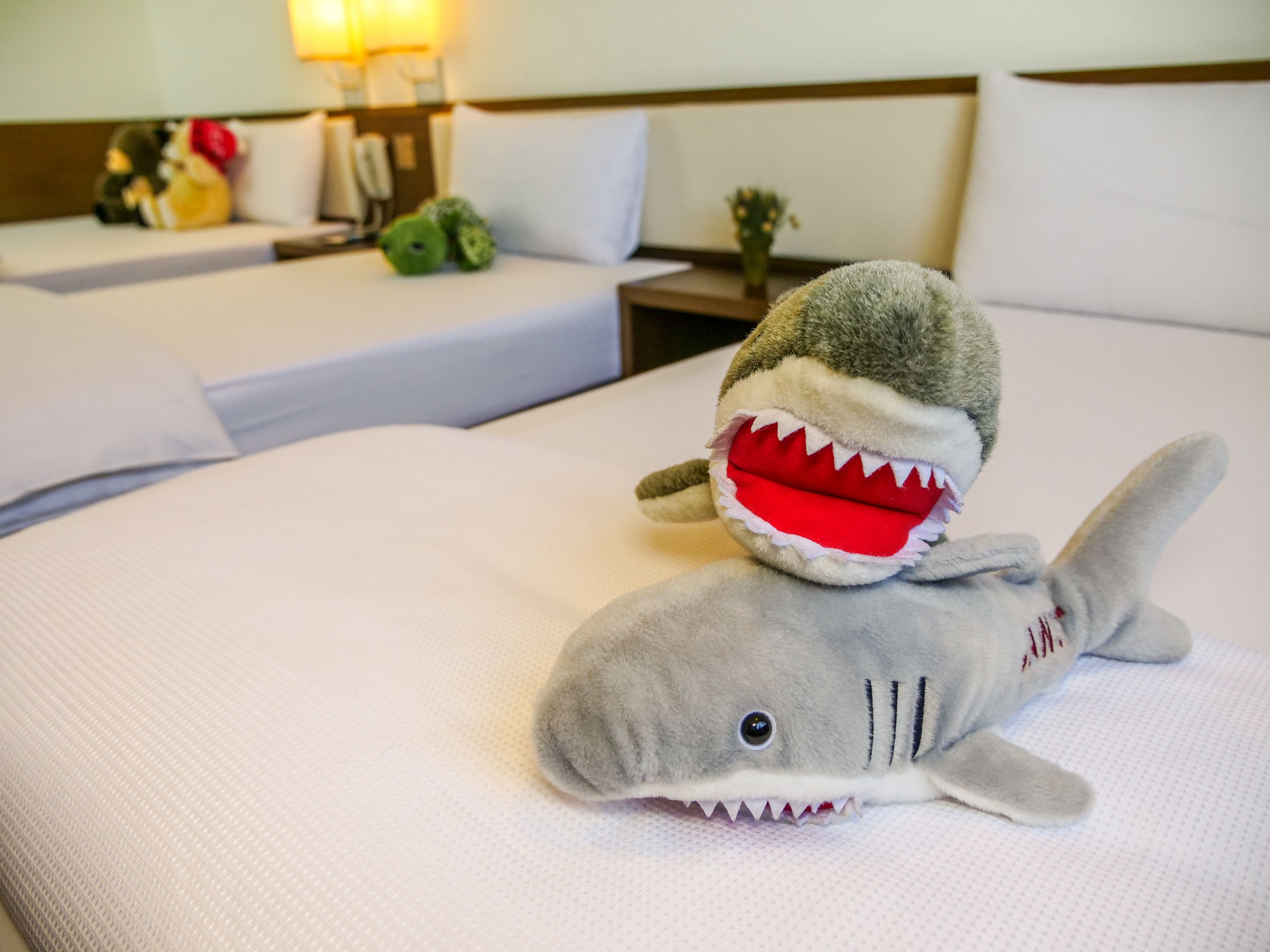 Edredões de penas, cofre no quarto, com mobília individualizada 