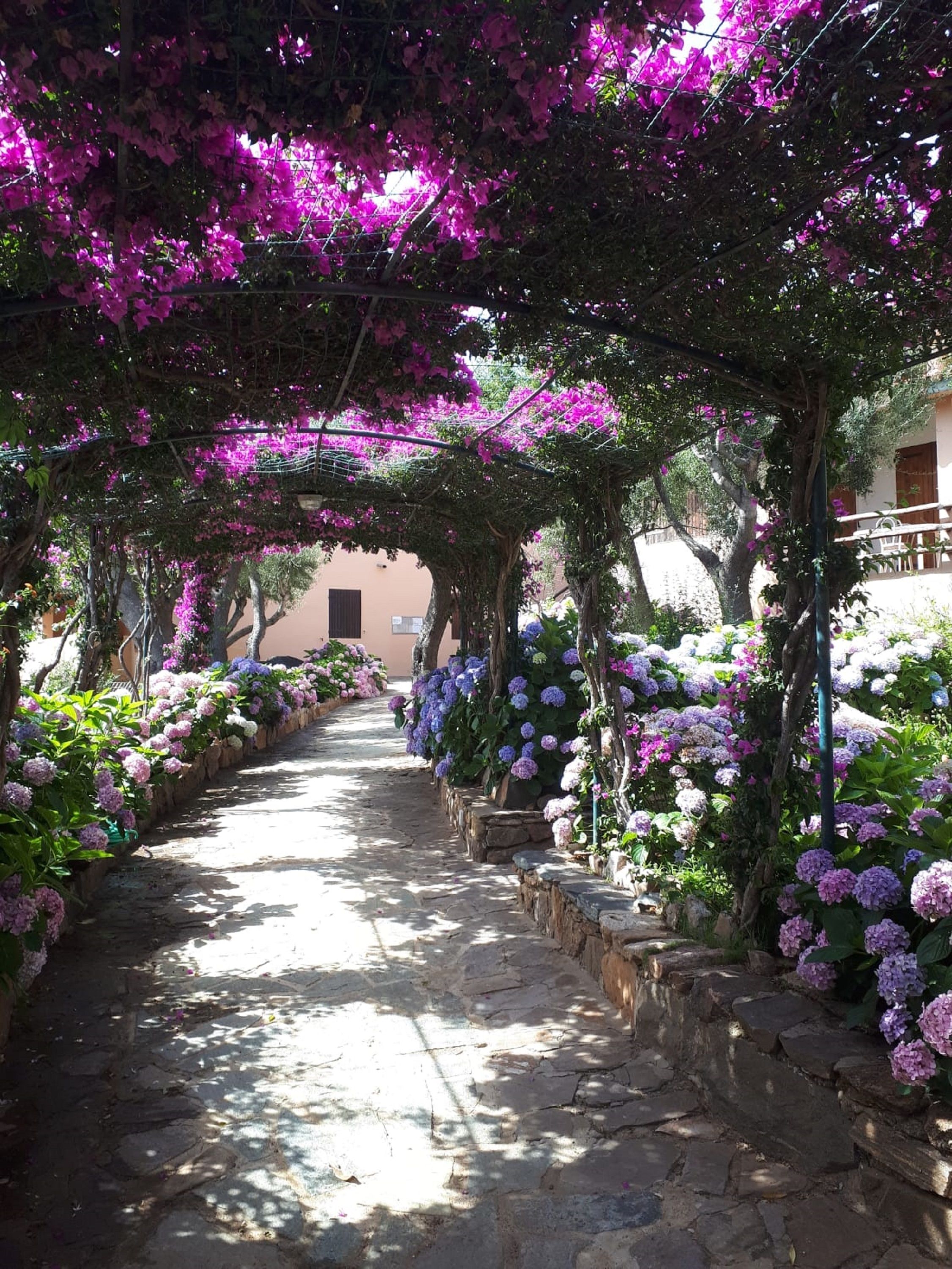 Um caminho de pedra ladeado por flores vibrantes em tons de rosa e roxo, que conduz a um edifício com fachada branca.
