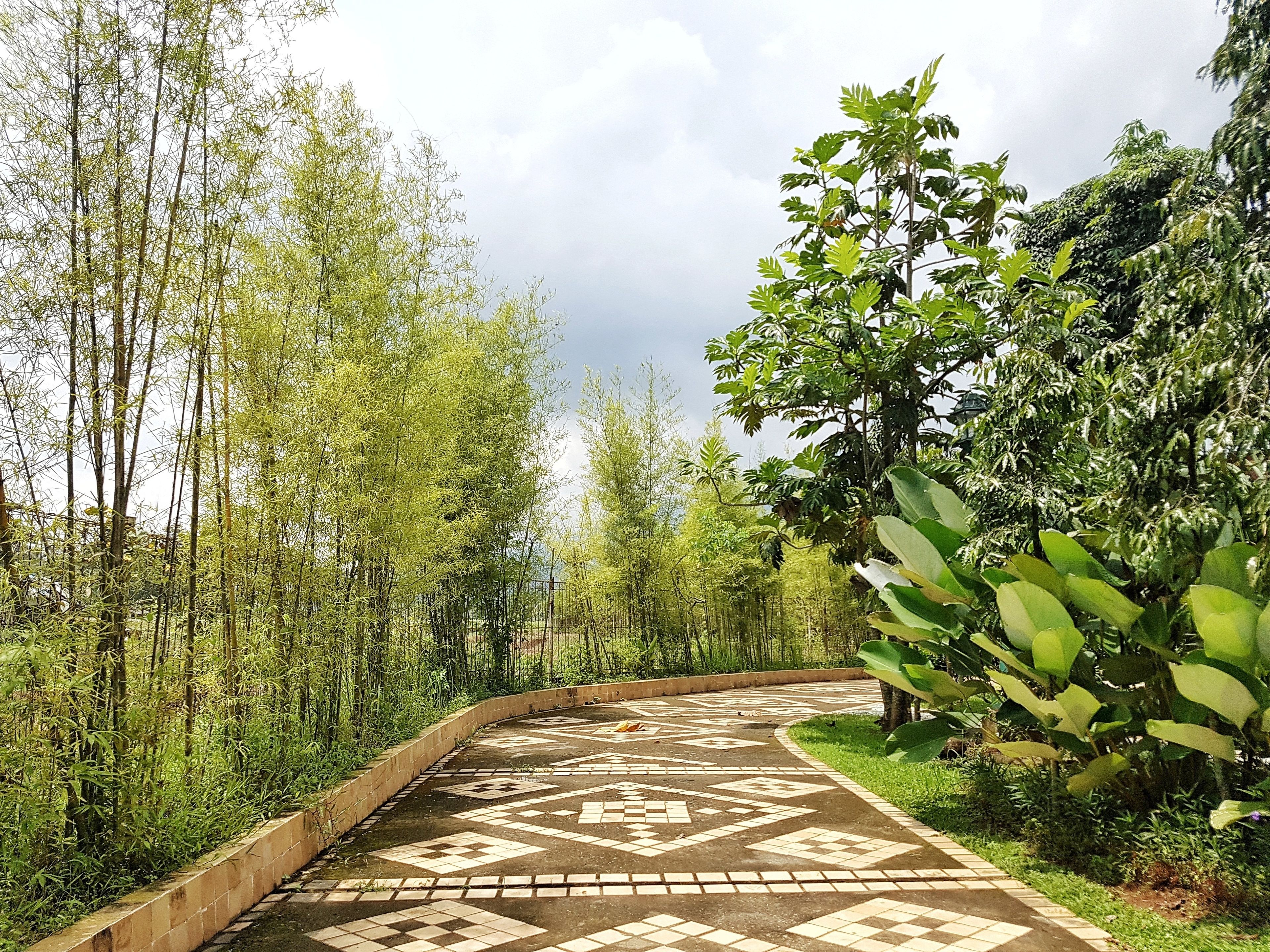 Um caminho com um padrão geométrico de azulejos, cercado por bambu e outras plantas.