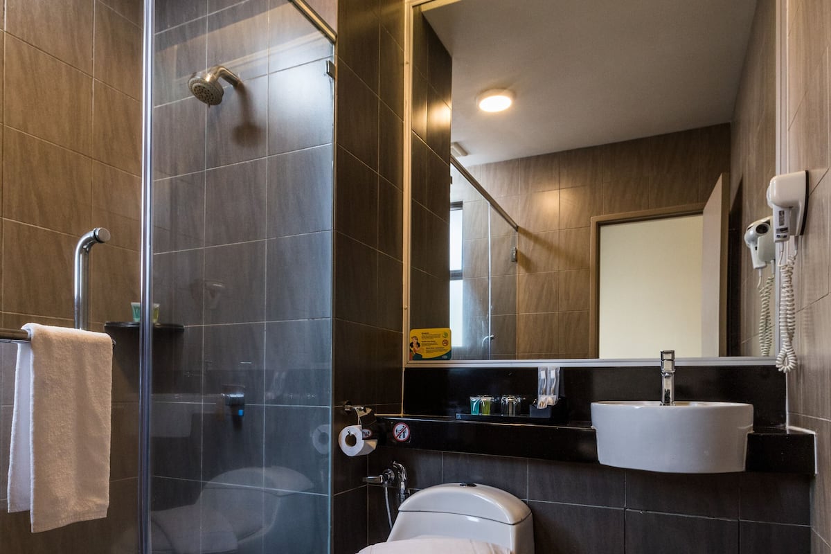 Artigos de higiene pessoal grátis, um secador de cabelo, um bidé