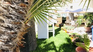 Um jardim bem cuidado com uma palmeira, plantas em vasos e uma cadeira branca.