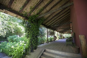 Um espaço ao ar livre coberto com degraus que levam a uma área de estar, cercado por vegetação.