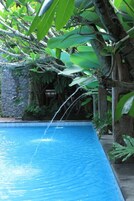 Piscina com parede de pedra e vegetação exuberante.
