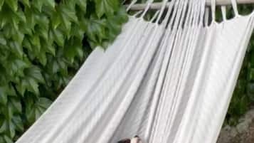 Terrenos do alojamento