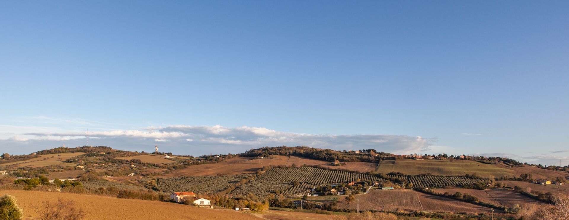 Paisagem rural com oliveiras, casas espalhadas e colinas ondulantes sob um céu limpo.