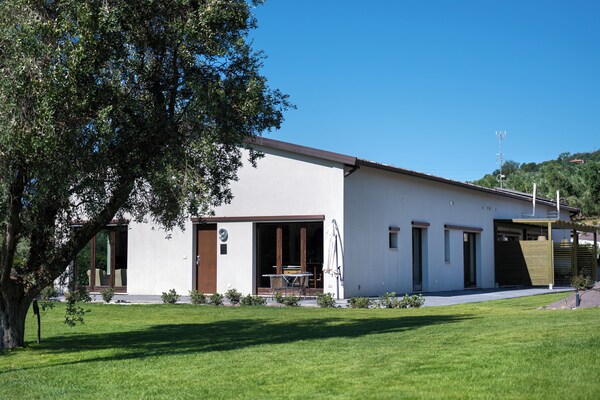 A3passi Agriturismo Tra Gli Ulivi - Ancona
