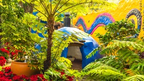 Um jardim vibrante com um mural colorido, um espelho d'água e vegetação exuberante.