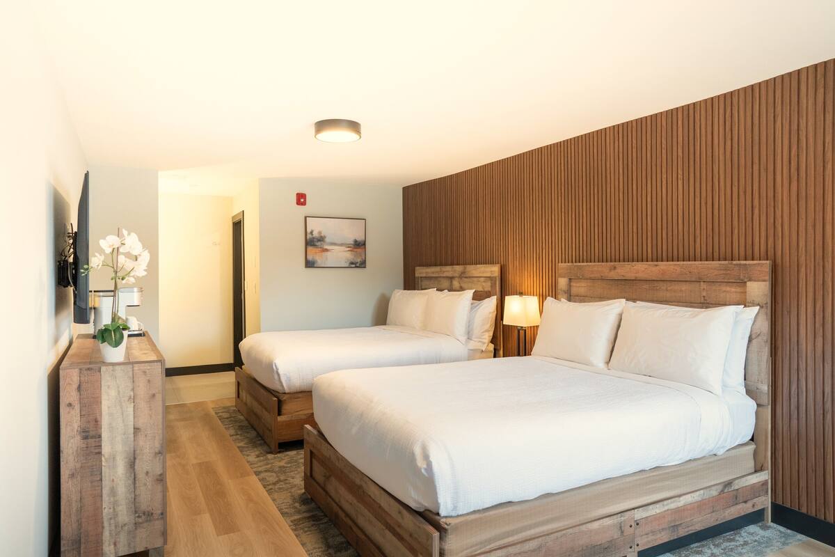 Quarto de hotel com duas camas, cabeceira de madeira, mesa de cabeceira com abajur, uma pequena planta e um quadro na parede.