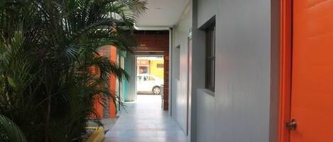 Um corredor com uma porta vermelha, uma planta e vista para um quarto onde se vê um carro do lado de fora.