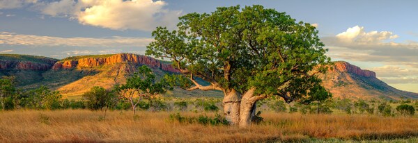 El Questro - The Station - Western Australia