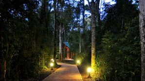 Um caminho leva a um edifício rodeado por árvores, com luzes ao longo do percurso.