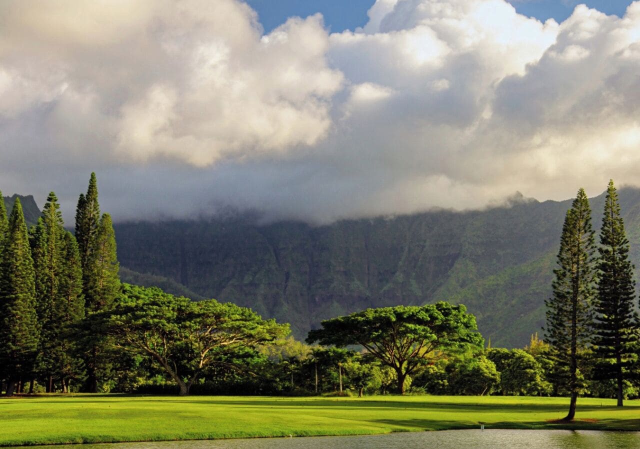 Golfe