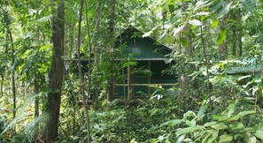 Casa na árvore, suíte (Tropical Cabin) | Fachada