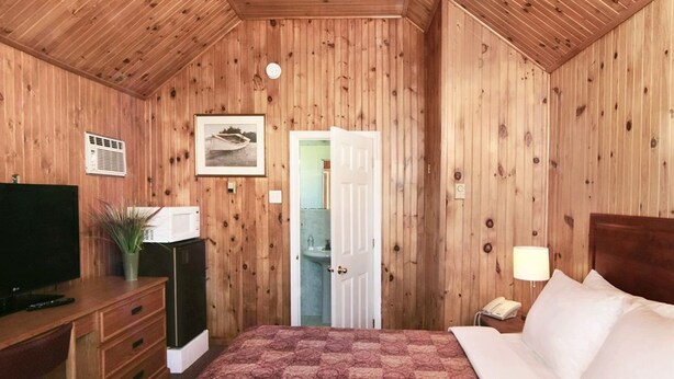 Quarto com painéis de madeira, uma cama, uma escrivaninha com televisão, uma pequena planta e uma porta que dá para o banheiro.