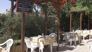 Um café ao ar livre com cadeiras e mesas de plástico branco, rodeado por vegetação exuberante e flores vermelhas.