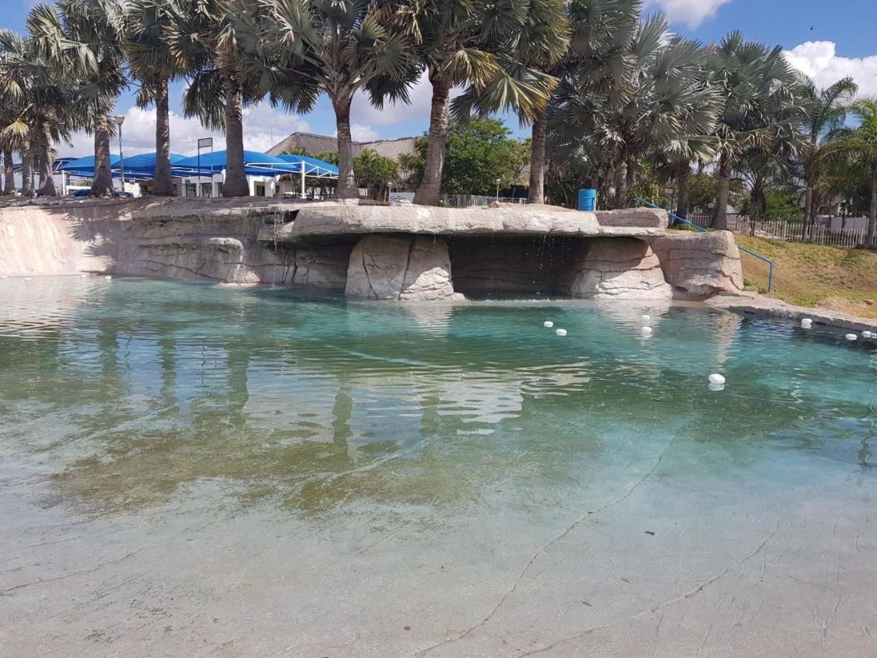 Uma piscina límpida com uma ilhota rochosa no centro, cercada por palmeiras e um edifício de telhado azul ao fundo.