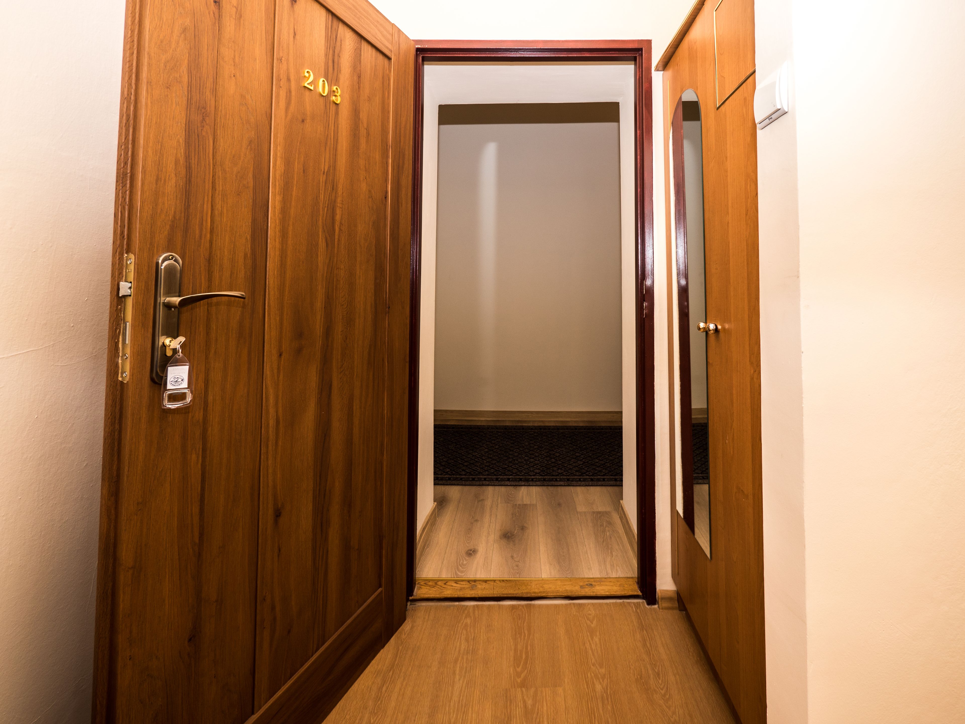 Uma porta de madeira com o número 203, uma fechadura e um interfone.