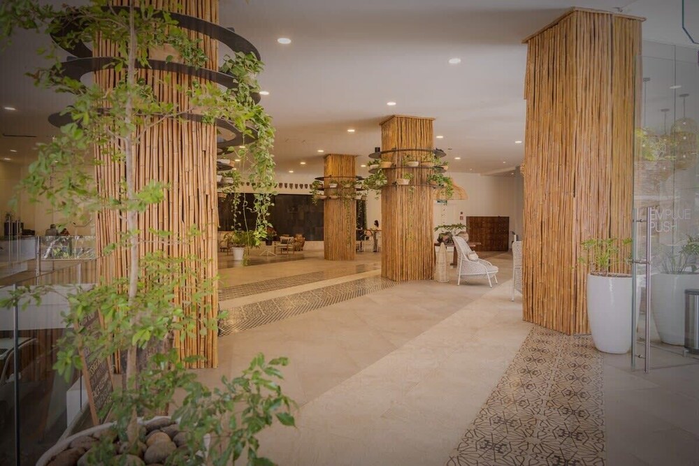 Stunning 4200sqft Oceanfront Oasis - Maxwellpv - Nayarit