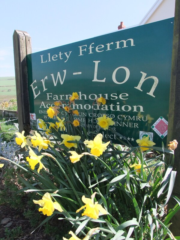 Erw-lon Farm - Solva