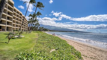 Apartamento em Condomínio Fechado, 1 quarto | Praia | Na praia