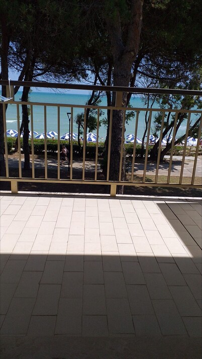 Room in B&B - Spacious Double Room by the sea