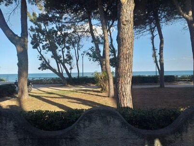 Room in B&B - Spacious Double Room Beside the sea