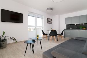 Apartamento econômico | Sala de estar | TV de tela plana 49 polegadas com canais via satélite, TV