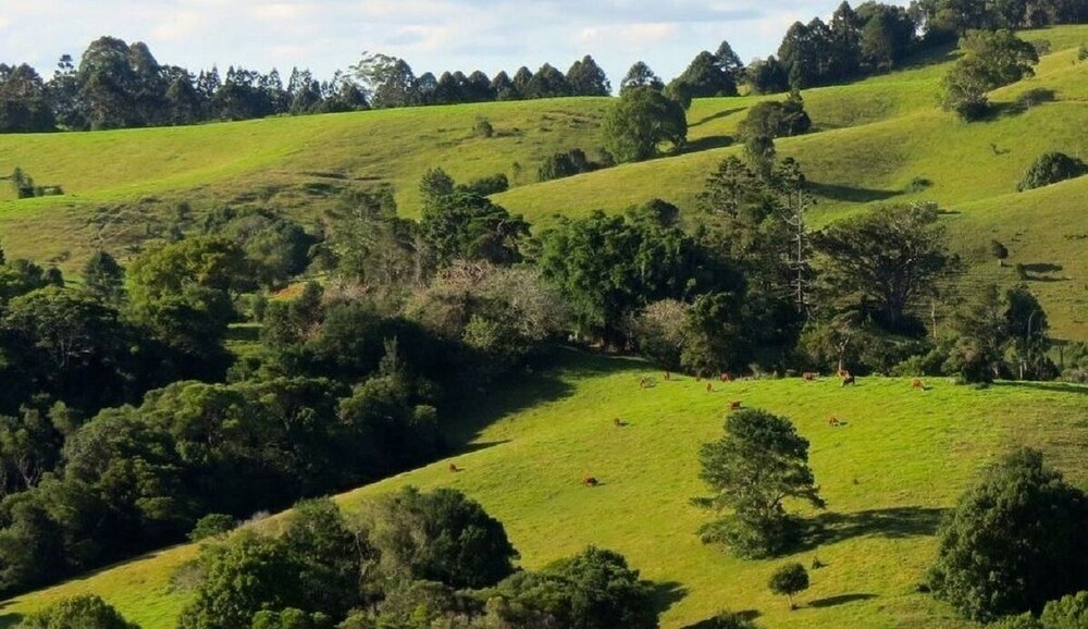 Luxury Accommodation - Harris - Mapleton