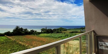 Apartamento Standard em Condomínio Fechado, não fumadores | Terraço/pátio interior