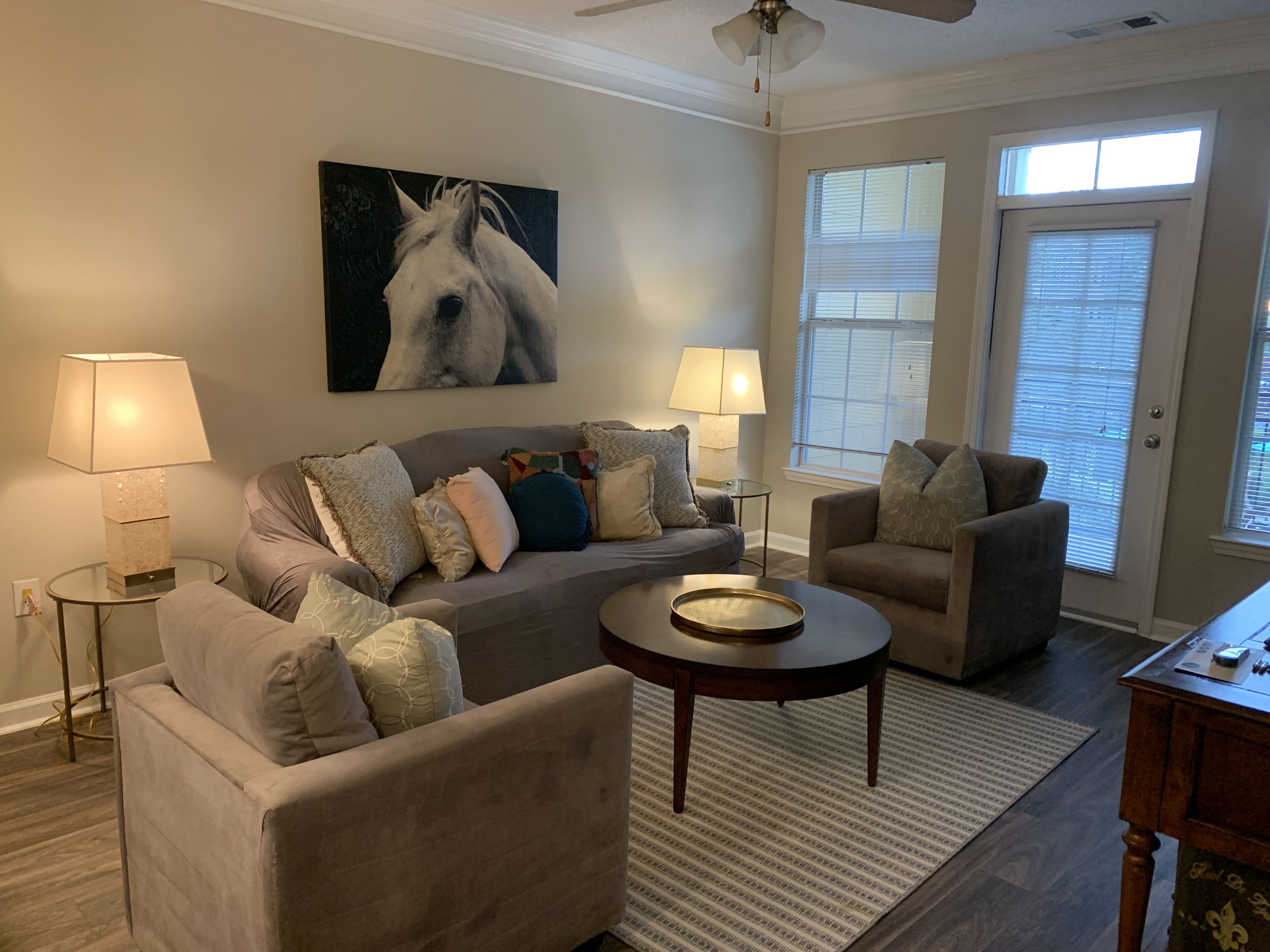 Fabulous One Bed/one Bath Corporate Furnished Apt In Alpharetta - Roswell, GA