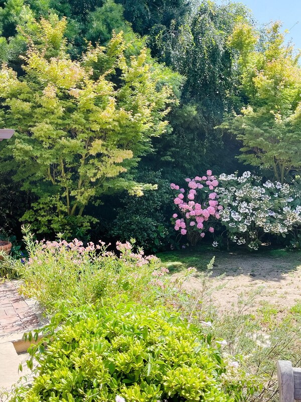 Beautiful Spacious Home Centrally Located! - Santa Barbara, CA