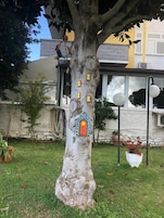 Pormenores do exterior