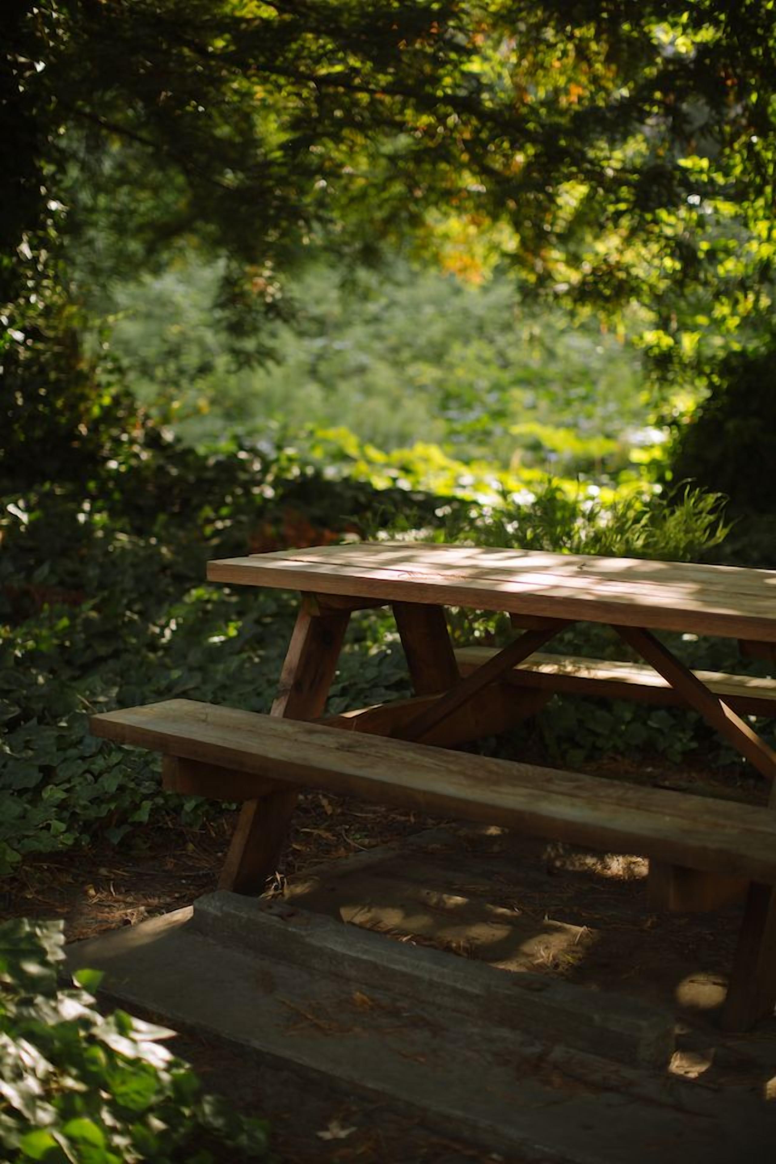 Uma mesa de piquenique de madeira com bancos numa área de jardim arborizada.
