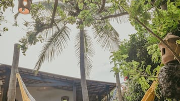 Terraço/pátio interior