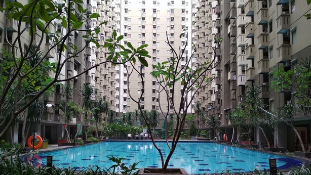 Piscina rodeada por vegetação e edifícios altos.
