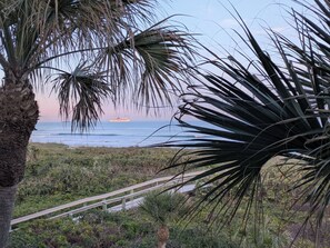 SUBTROPICAL OASIS CONDO, HEATED POOL, STEPS TO THE OCEAN, GREAT ...