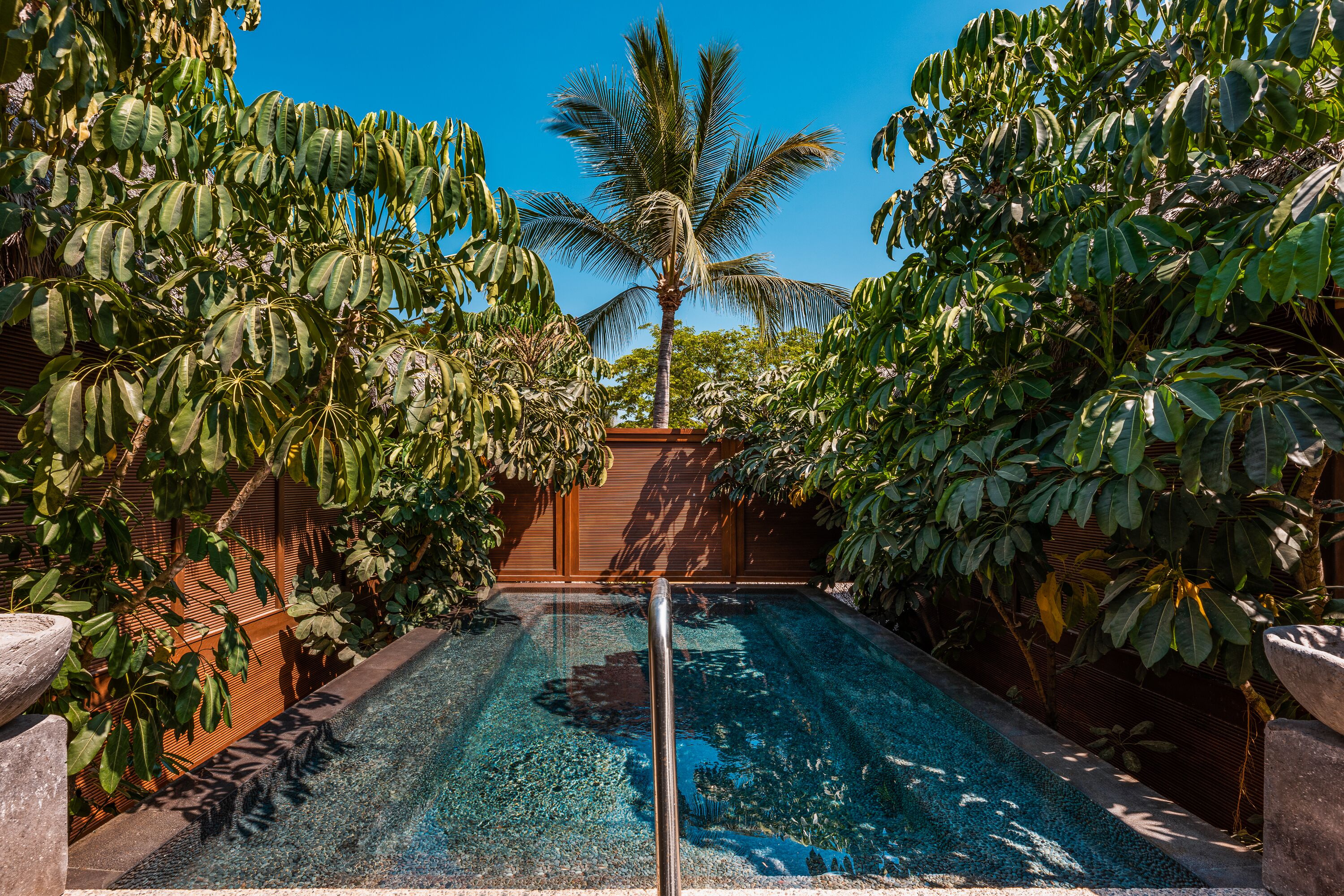 Uma piscina com uma palmeira e vegetação exuberante ao fundo.