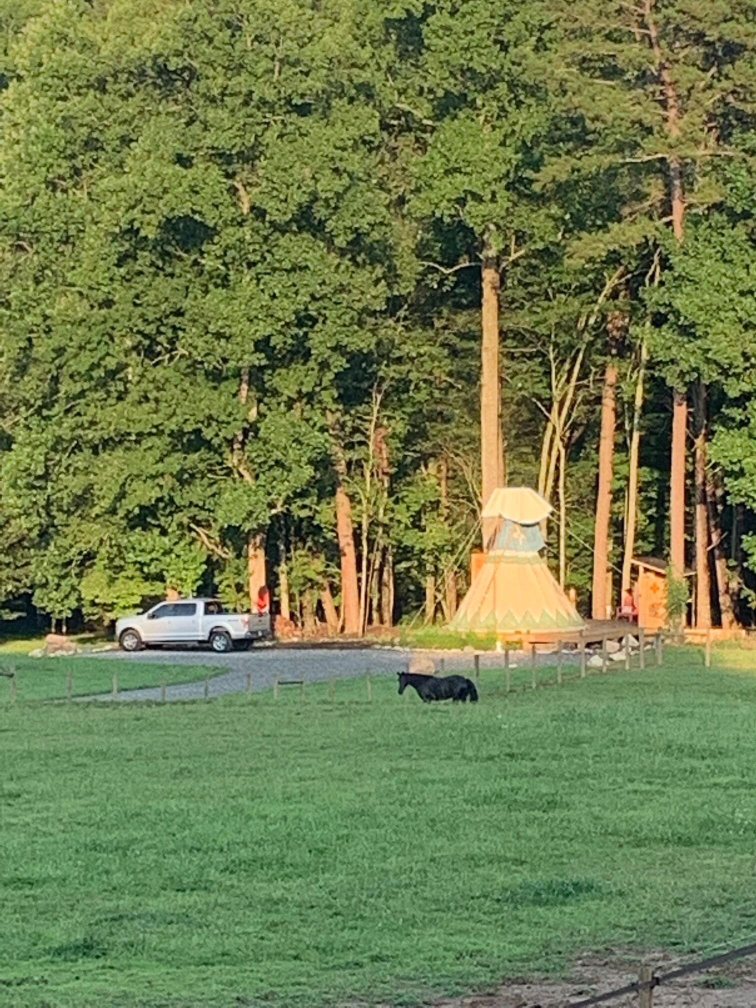 Top 9 Yurts Near Blue Ridge, Georgia - Updated 2024 | Trip101