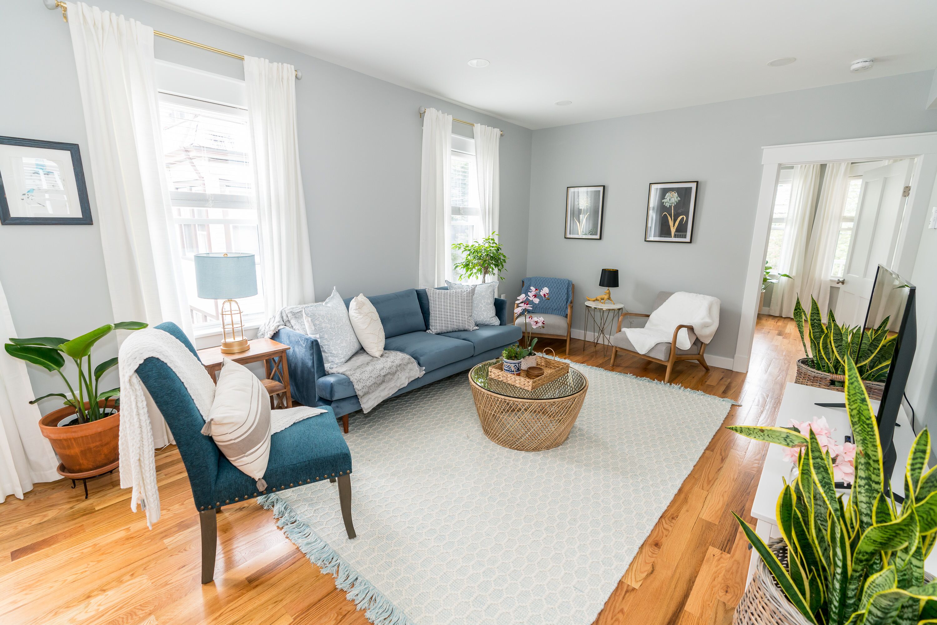 The Blue Bird - New Haven, CT