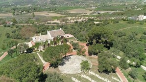 Vista aérea de uma villa rodeada por vegetação exuberante e campos, com um pátio amplo e uma construção de pedra por perto.