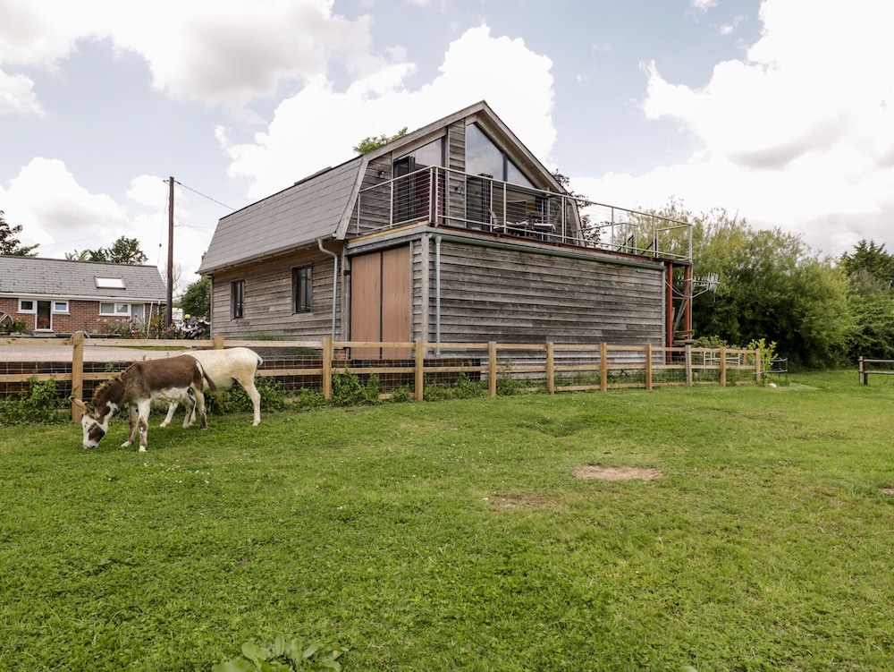 Cointree - Wiltshire