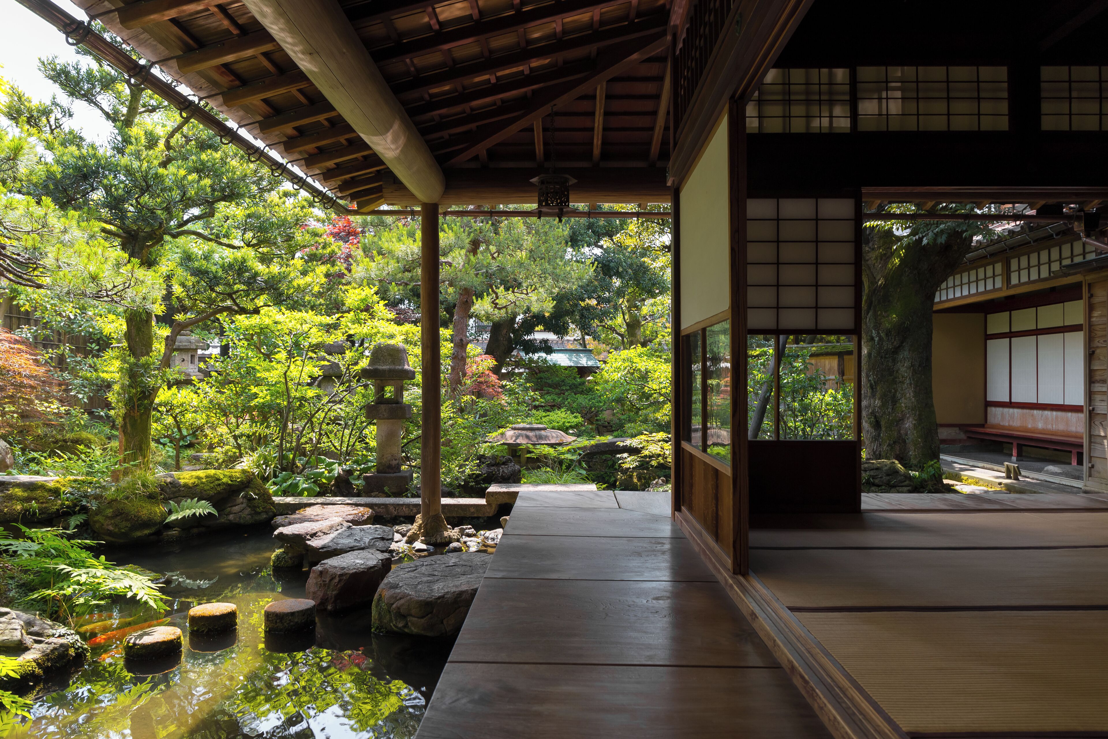 Um jardim japonês tradicional com passarela de madeira, lago com carpas koi e diversas árvores e rochas.