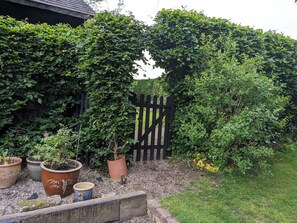 Casa de Campo | Terrenos do alojamento