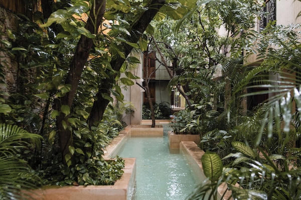 Piscina externa