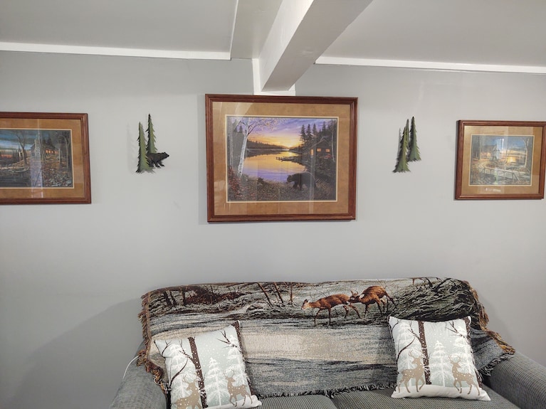 Home With Peace And Quiet Near Several Attractions - Michigan