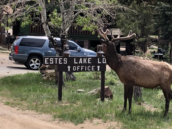Estes Lake Lodge - Lyons, CO